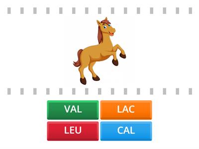 Asociere cuvânt imagine - Resurse didactice