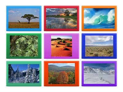 Biomes - Teaching resources