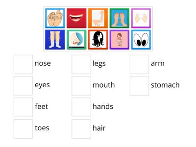 Animal body parts - Teaching resources