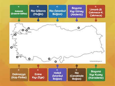 Kıyı tipleri - Öğretim kaynakları