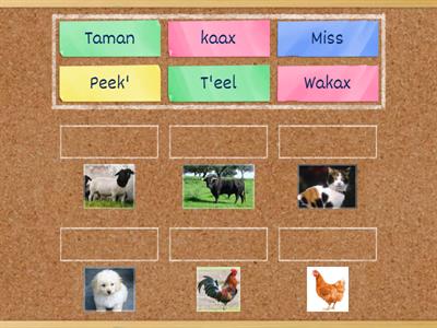 Lengua maya - Recursos didácticos