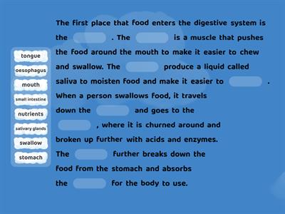Digestive System - Teaching resources