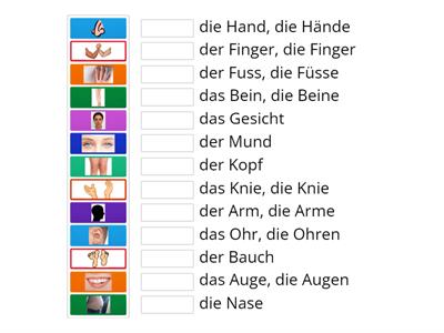 Possessivartikel körperteile - Teaching resources