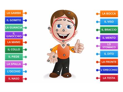 Il corpo - Teaching resources