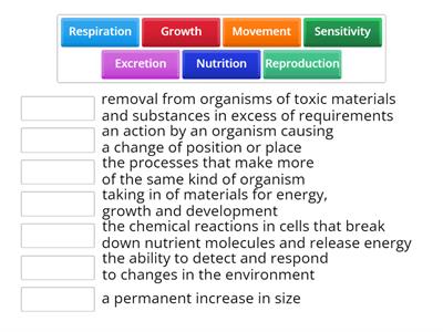 Mrs gren - Teaching resources