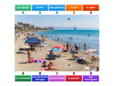 Beach - Teaching resources