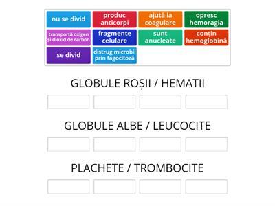 Componentele calculatorul - Resurse didactice