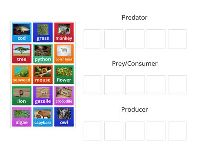 Predator prey adaptations - Teaching resources