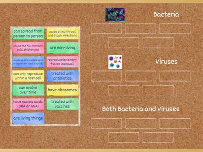 Bacteria fungi virus - Teaching resources