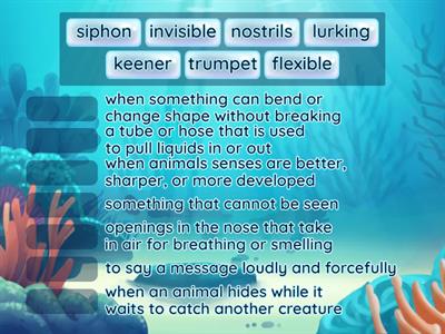 Nose - Teaching resources