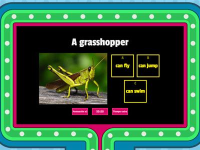 Insects - Recursos didácticos