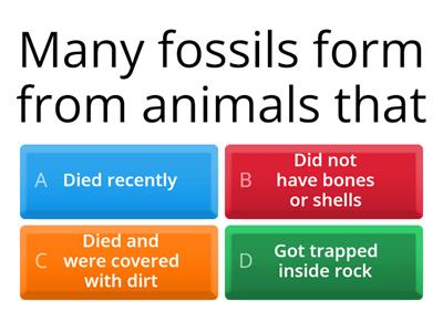 Fossils - Teaching resources