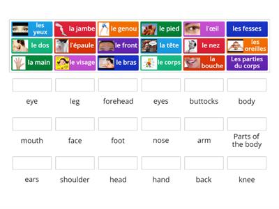Studio 3 les parties du corps - Teaching resources