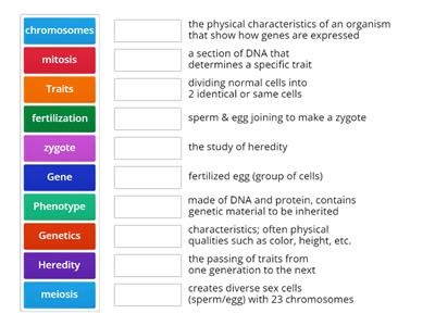 Mendelian inheritance - Teaching resources
