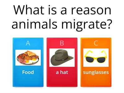 Hibernation migration - Teaching resources