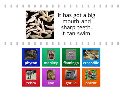 Explore together 2 lesson 4 - Tananyagok