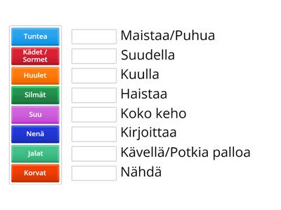 Suomi verbi - Tehtävät