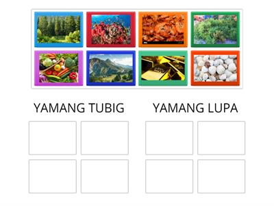 Yamang lupa yamang tubig at yamang mineral - Aktibidad sa pagtuturo