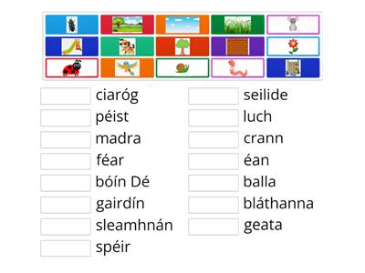 Sa bhaile seomrai - Teaching resources