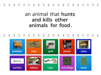 Predator and prey - Teaching resources