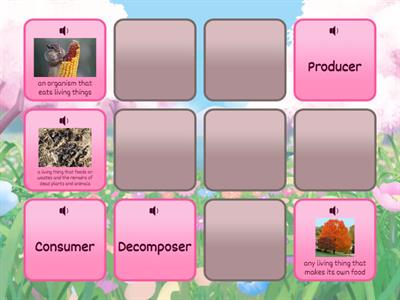 Predator prey - Teaching resources