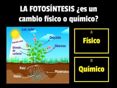 Cambios fisicos y quimicos de la materia - Recursos didácticos