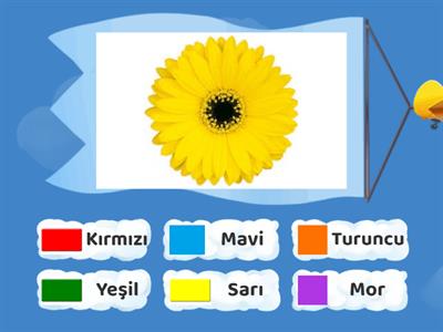 Renkler ana renkler - Öğretim kaynakları