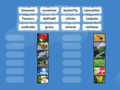 Spring reveal - Teaching resources