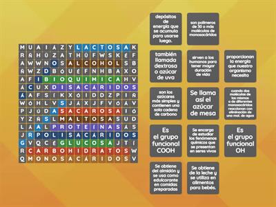 Carbohidratos proteina lipidos - Recursos didácticos
