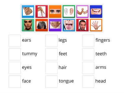Parts of the body - Teaching resources