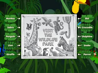 Park - Teaching resources