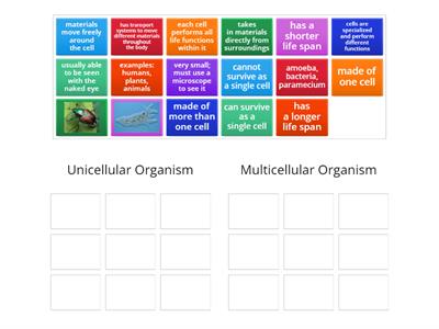 Unicellular and multicellular organisms - Teaching resources