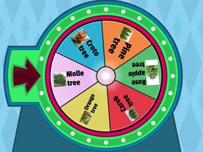 Trees - Teaching resources