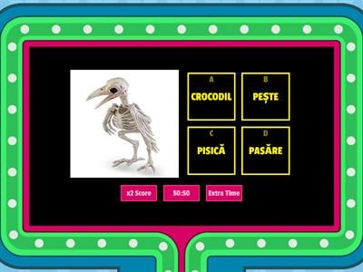 Scheletul animalelor - Resurse didactice