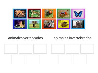 Animales nivel inicial - Recursos didácticos
