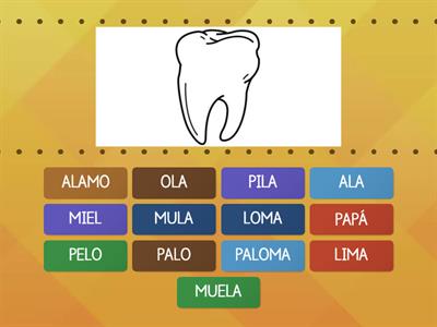 Lectura p m l s - Recursos didácticos