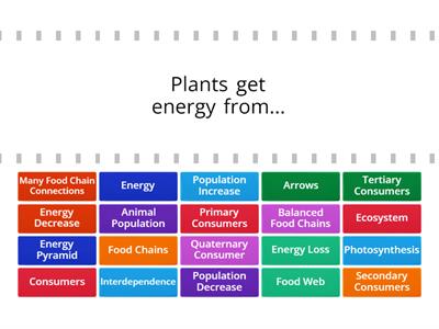 Energy transfer in an ecosystem - Teaching resources