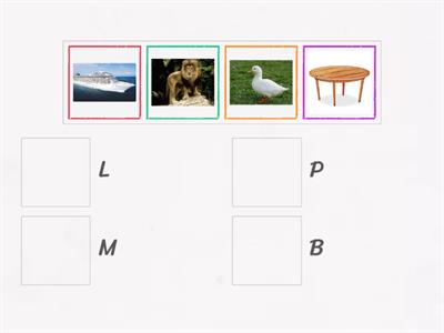 Consonante - Recursos didácticos