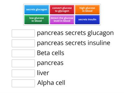 Homeostasis glucose - Teaching resources