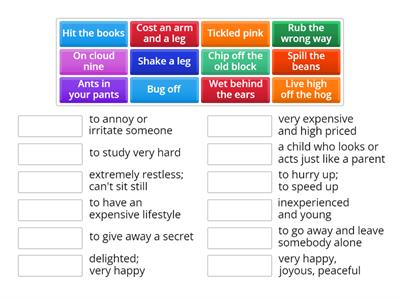 Idiom game - Teaching resources