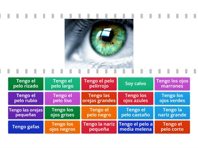 Spanish Eyes and hair in - Teaching resources
