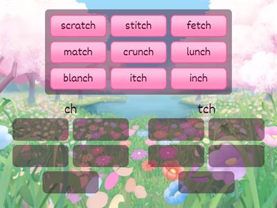 Ch and tch words - Teaching resources