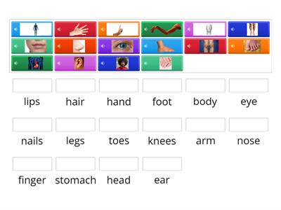 Body parts Games - Teaching resources