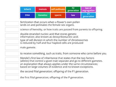 Mendel - Teaching resources