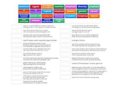 Mutations - Teaching resources