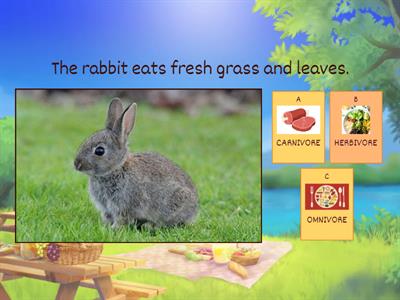 Herbivore carnivore omnivore - Teaching resources