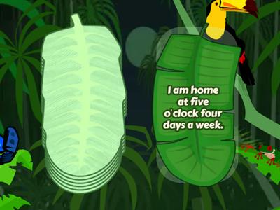 Always never sometimes - Teaching resources