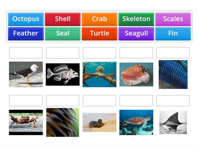 Mythical creatures - Teaching resources