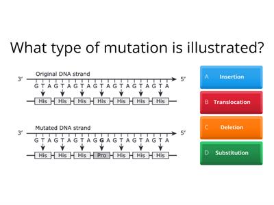 Mutations - Teaching resources