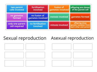 Reproduction Sexual - Teaching resources
